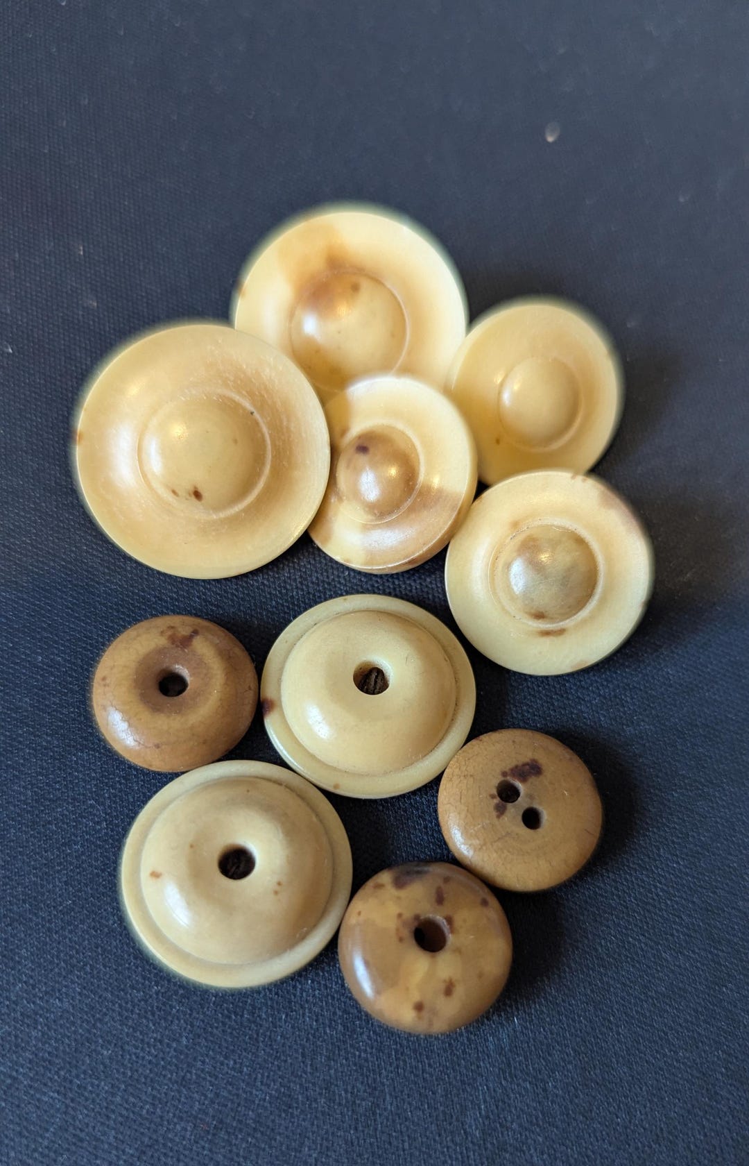 Various Antique Early Vegetable Ivory Buttons . (20) - Etsy