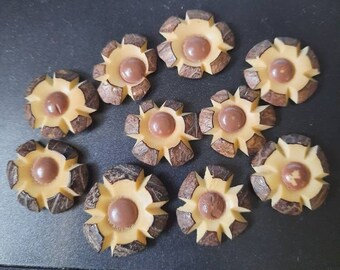Tagua Nut Buttons | Etsy