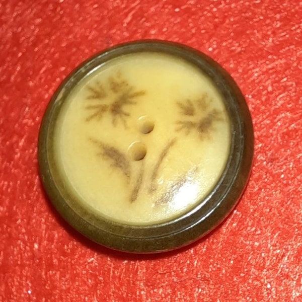 Vegetable Ivory - Etsy