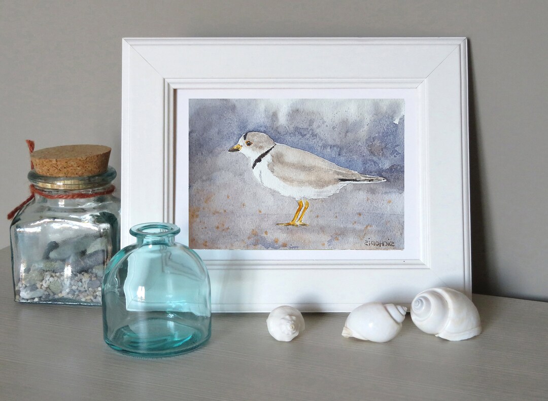Piping Plover Watercolor Painting, Seashore Coastal Decor, 6x8 - Etsy