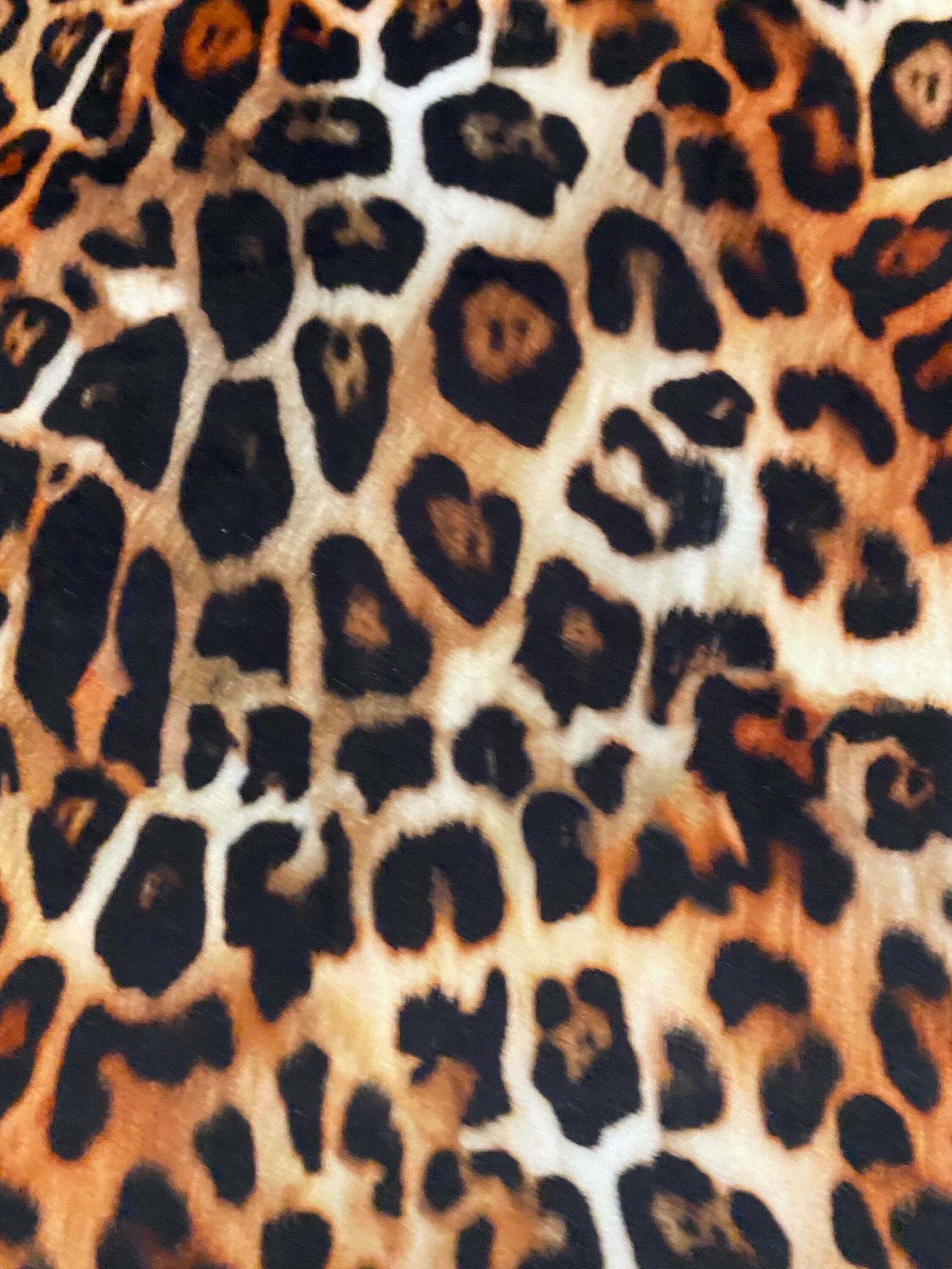 Leopard Print Velvet Fabric by the Metre - Etsy UK