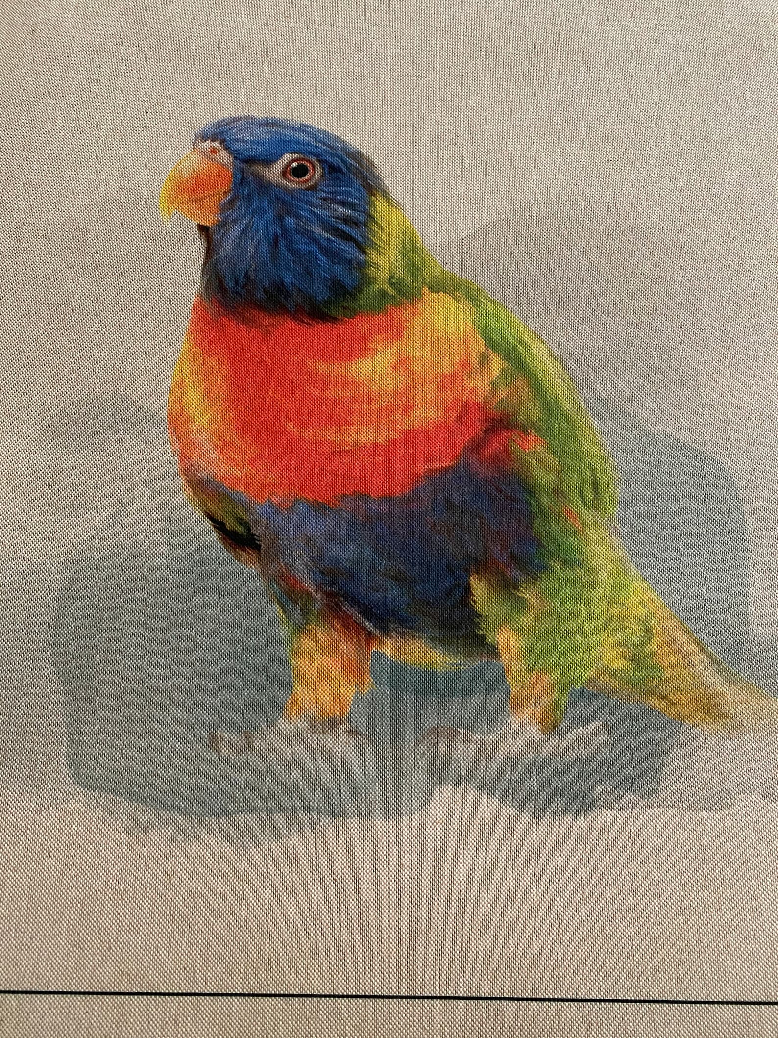 Rainbow Parrot Fabric - Linen Look Digital Design With Matching Cushion ...