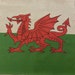 Welsh Dragon Linen Look Fabric & Cushion Panel - Etsy UK