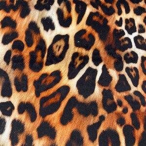 Leopard Print Velvet Fabric - by the Metre - Etsy