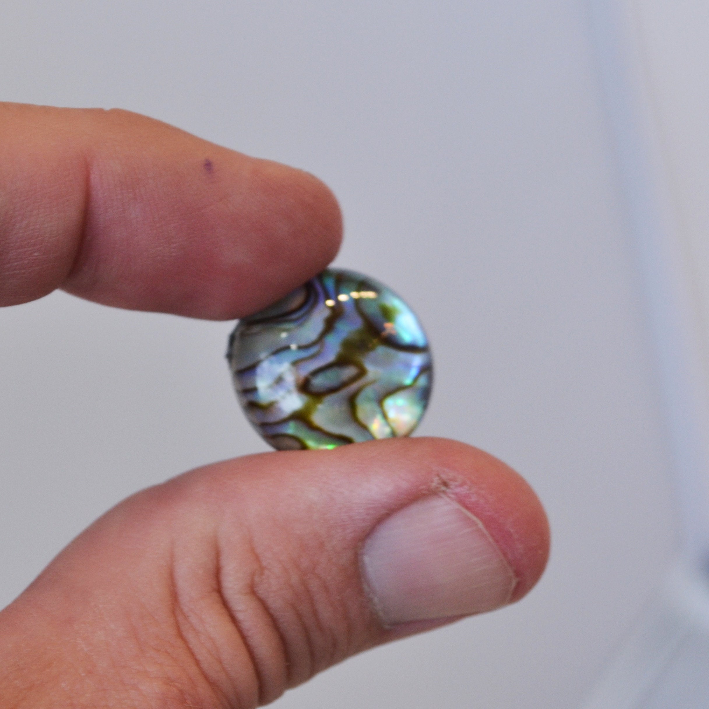 Natural Abalone Paua Shell With Crystal Overlay, Shell Cabochon, Round ...