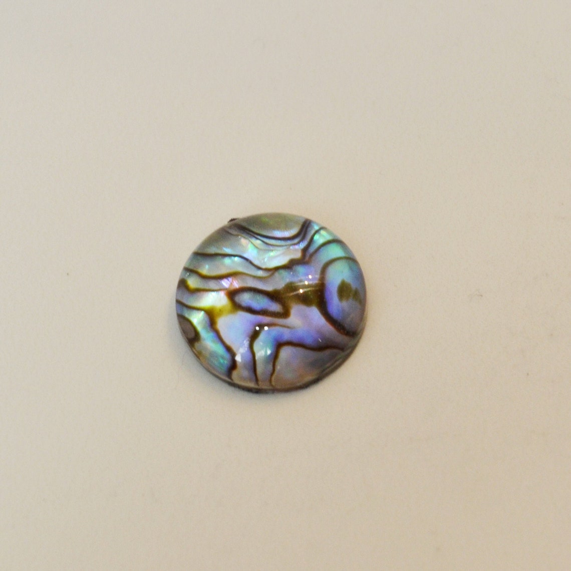 Natural Abalone Paua Shell With Crystal Overlay, Shell Cabochon, Round ...