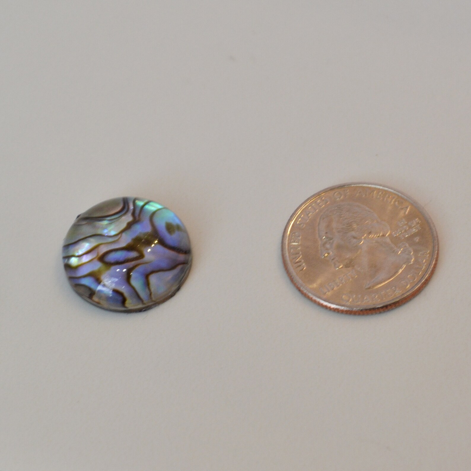 Natural Abalone Paua Shell With Crystal Overlay, Shell Cabochon, Round ...