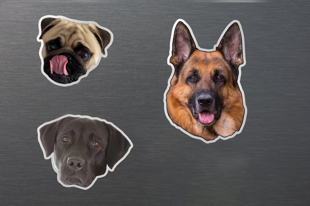 Custom Pet Magnets | Pet Memorial Magnet | Personalized Face Magnet ...