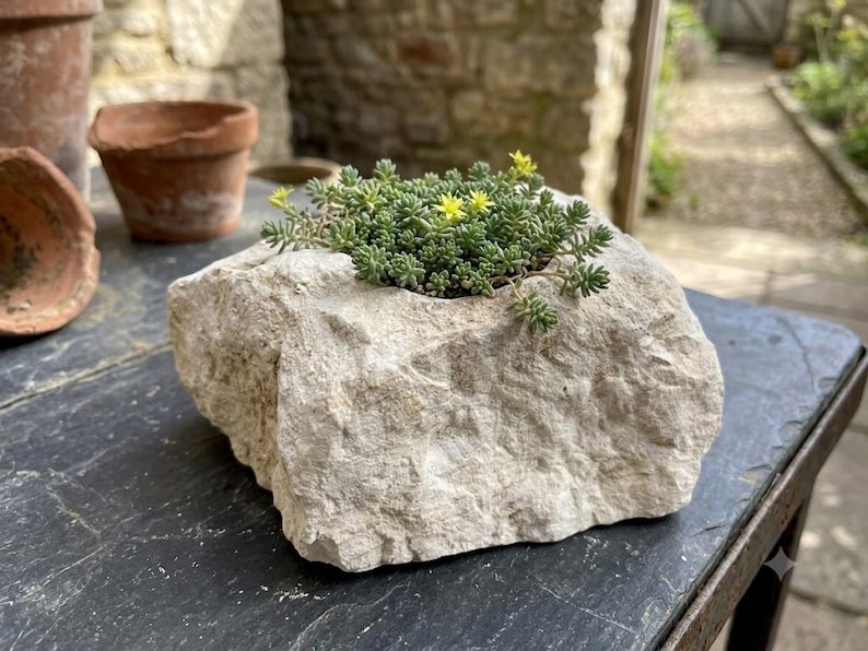 Customized Limestone Planters - Etsy