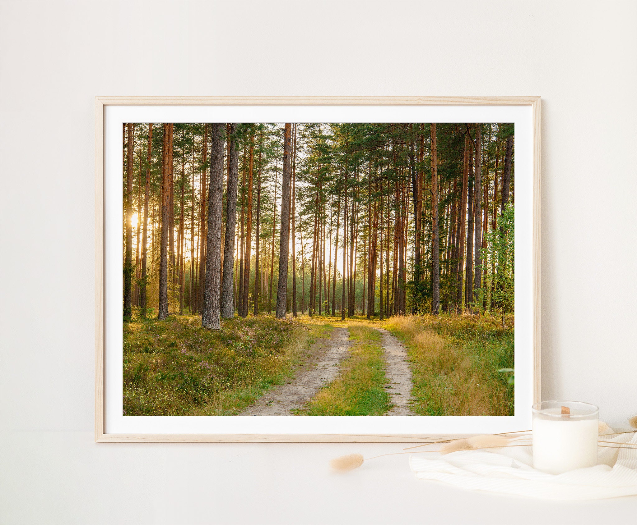 Sunlit Forest Path Print Digital Download| Printable Wall Art| Home ...
