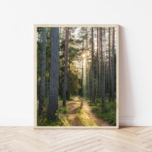Forest Print Digital Download| Forest Printable Wall Art| Home Wall ...