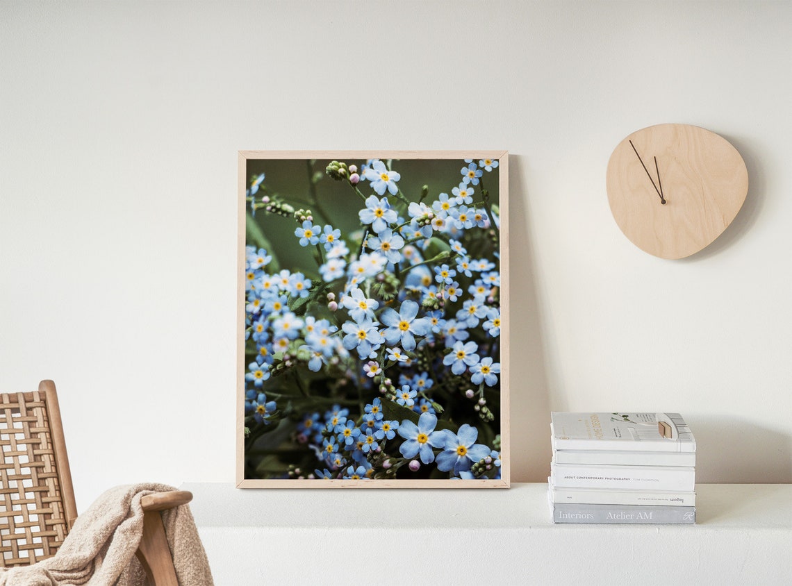 Forget Me Not Flower Photo Digital Download| Flower Printable Wall Art ...