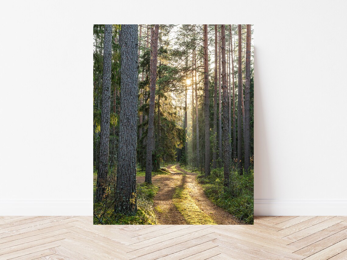 Forest Print Digital Download Forest Printable Wall Art Home - Etsy