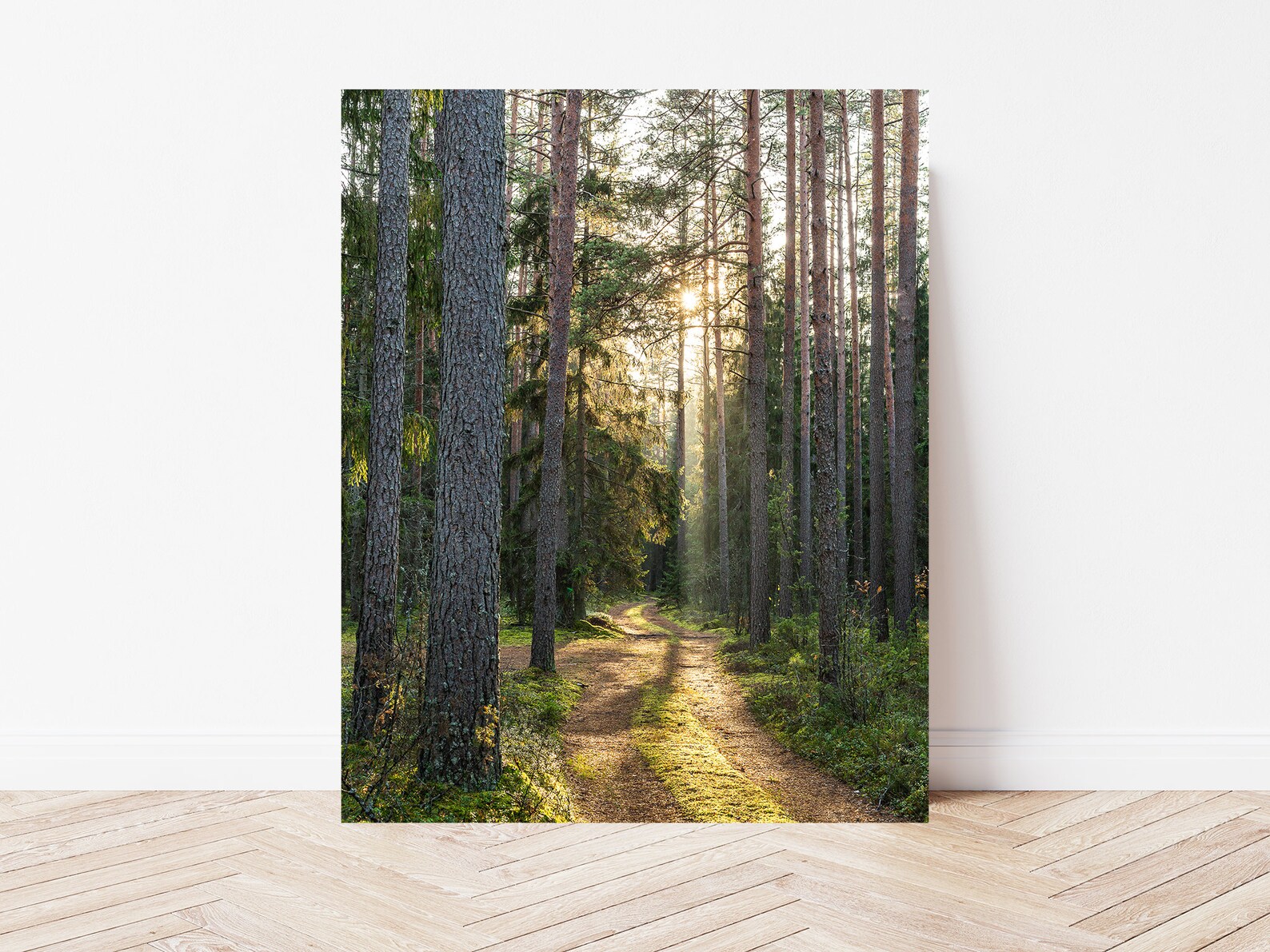 Forest Print Digital Download Forest Printable Wall Art Home - Etsy