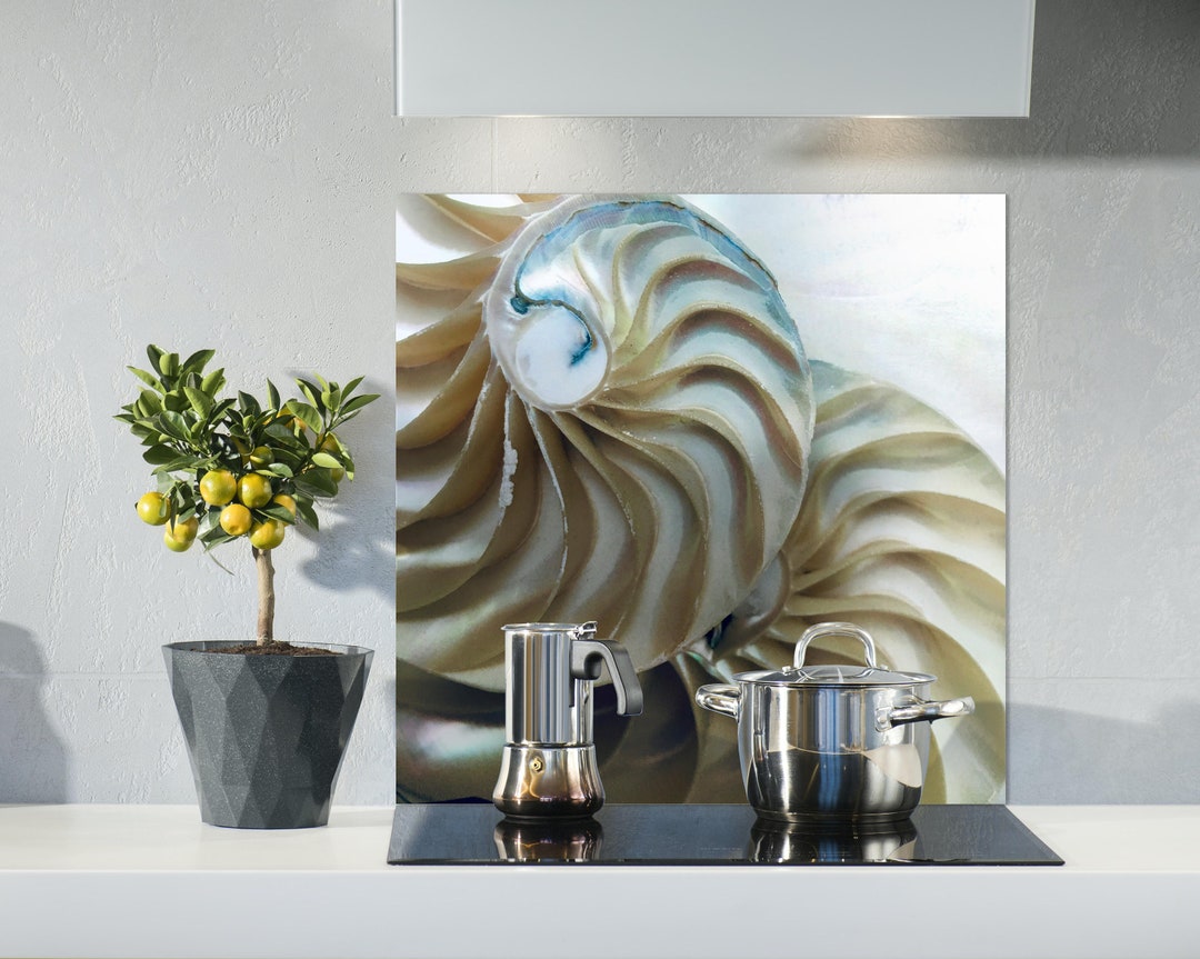 Giant Shells Print Kitchen Backsplash, Tempered Glass Print, Custom ...
