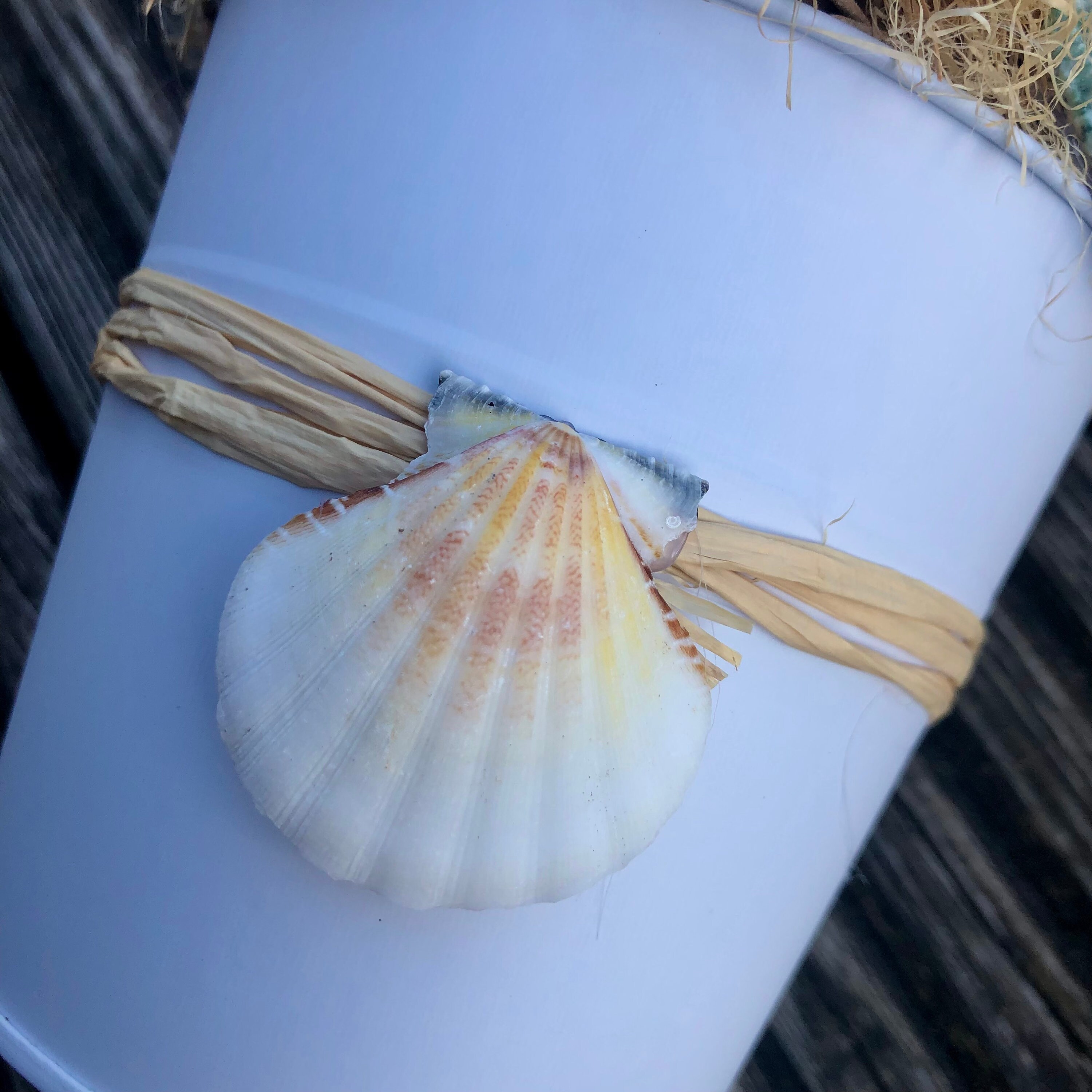 Coastal Seashell Table Centrepiece Nautical Tables Cape - Etsy UK