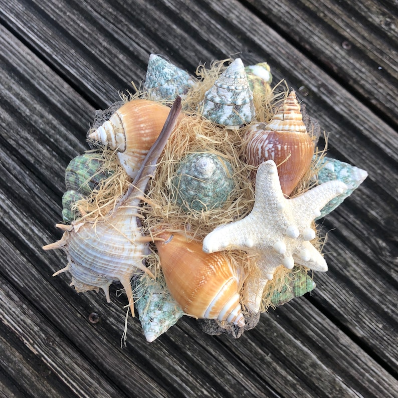 Coastal Seashell Table Centrepiece Nautical Tables Cape - Etsy UK