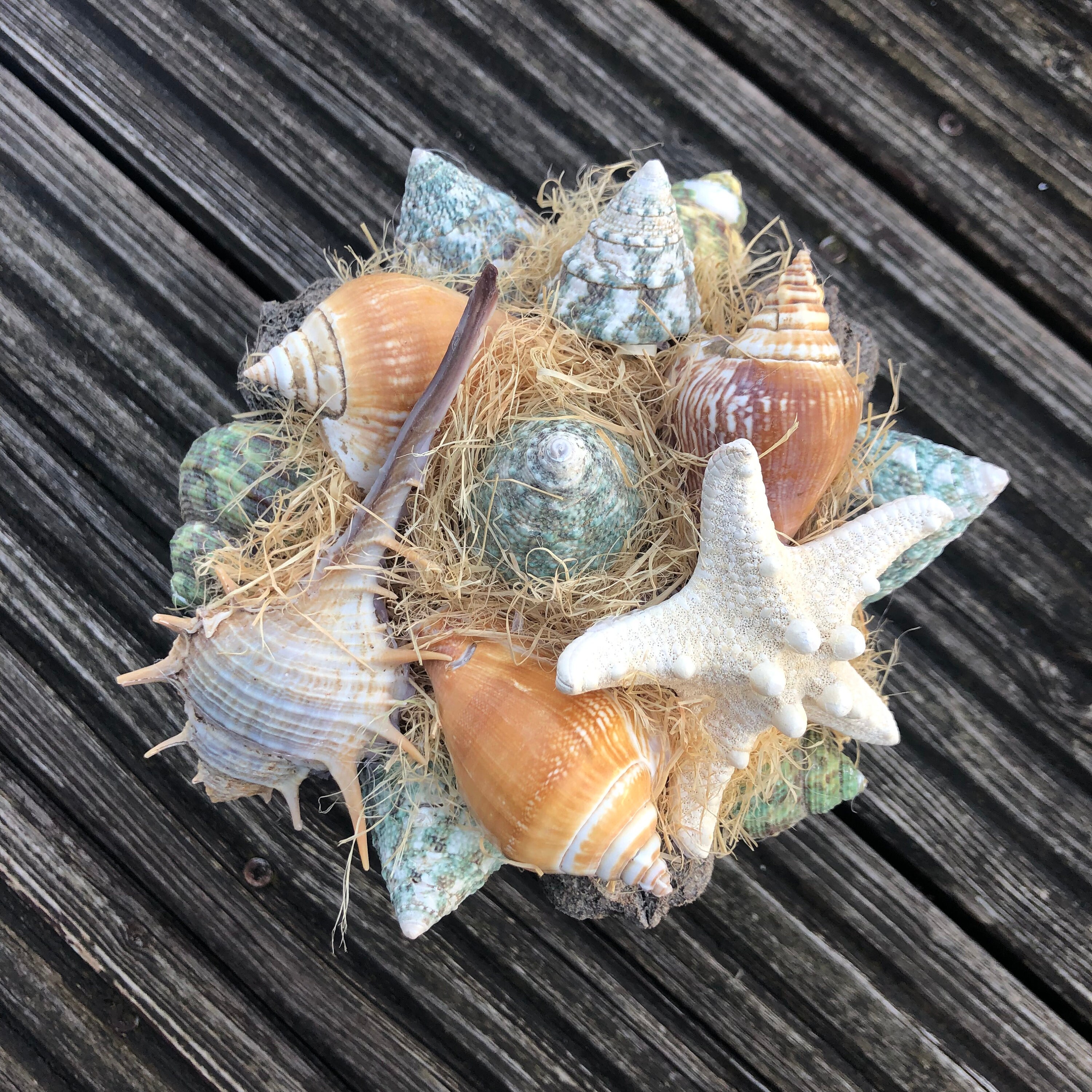 Coastal Seashell Table Centrepiece Nautical Tables Cape - Etsy UK
