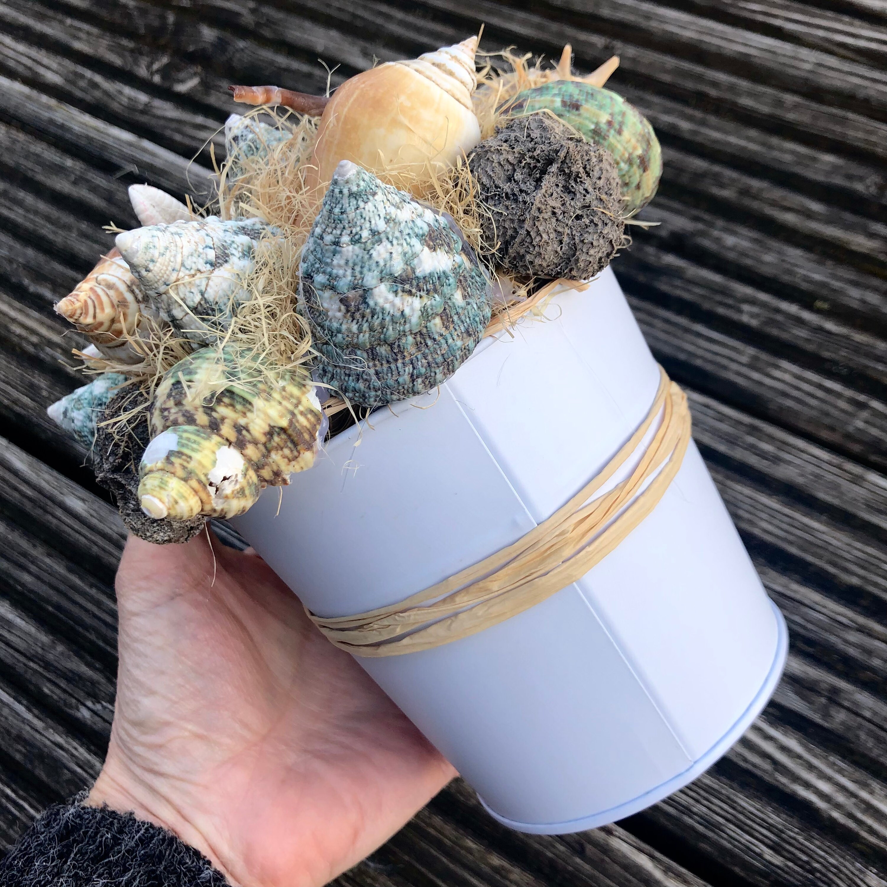 Coastal Seashell Table Centrepiece Nautical Tables Cape - Etsy UK