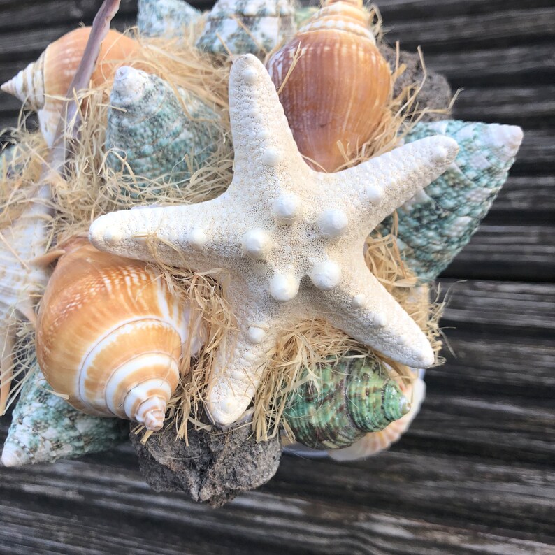 Coastal Seashell Table Centrepiece Nautical Tables Cape - Etsy UK