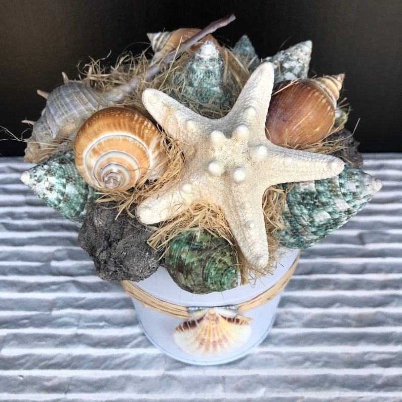 Coastal Seashell Table Centrepiece Nautical Tables Cape - Etsy UK