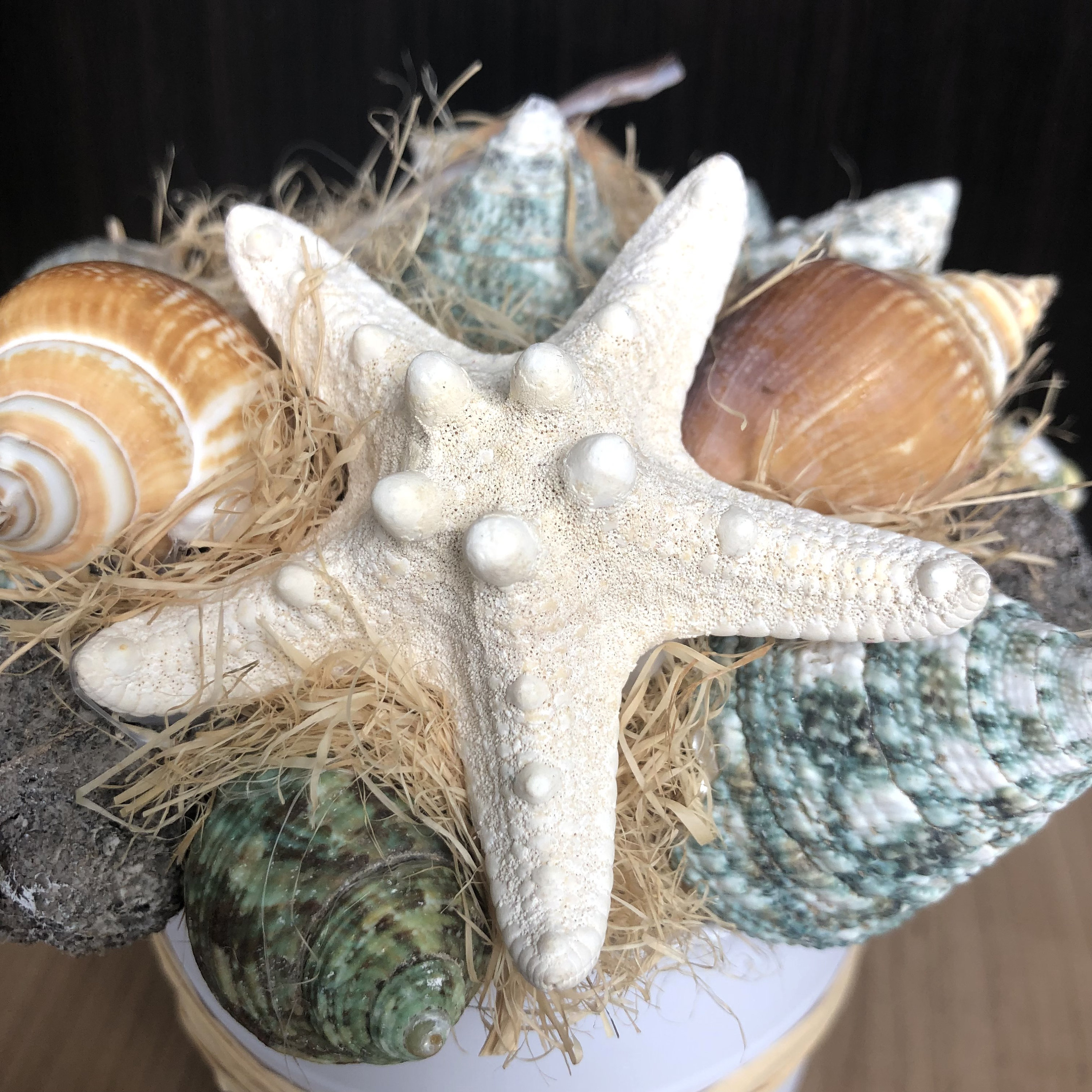 Coastal Seashell Table Centrepiece Nautical Tables Cape - Etsy