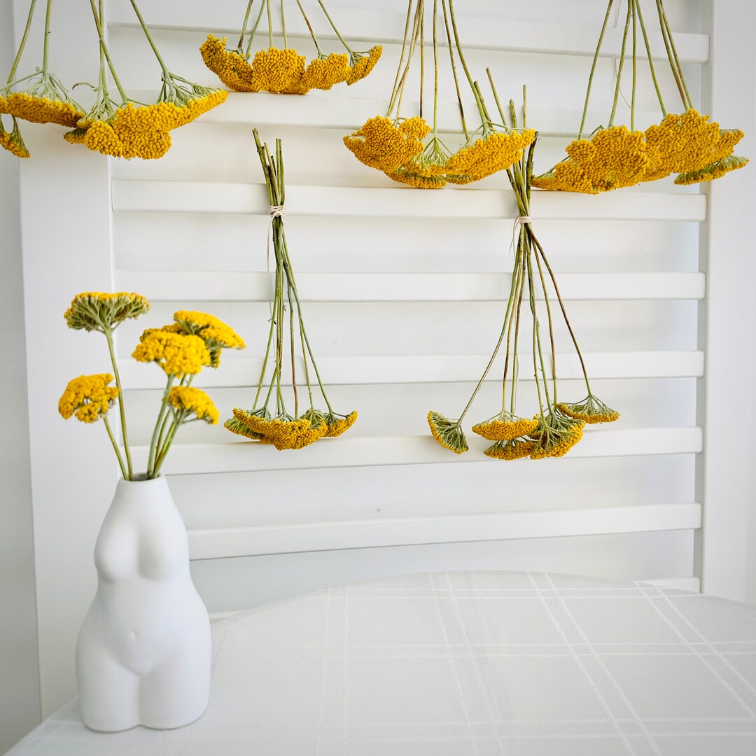 Dried Yellow Yarrow Bunch for Wedding Bouquet Florist Supply Natural ...