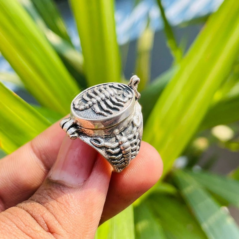 Poison Rings - Etsy