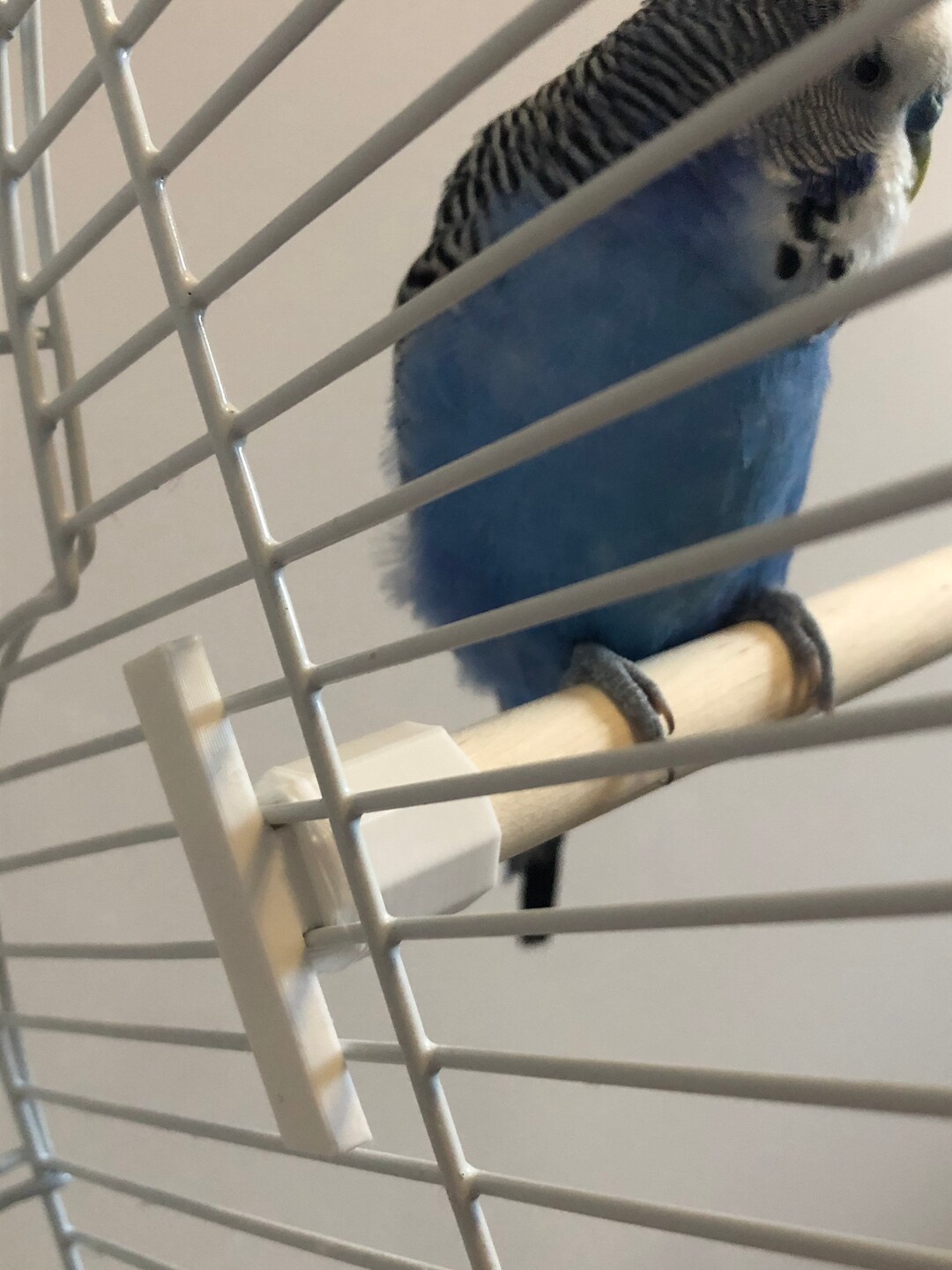 Bird Perch (2 Perches) Bird Cage Perches (untreated Natural Wooden ...