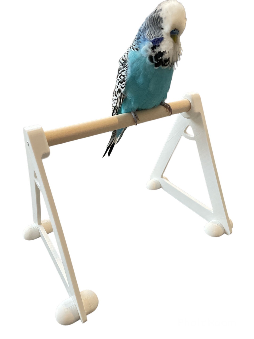 Bird Perch Floor Stand, (15mm Diameter Wooden Perch), Bird Perch ...