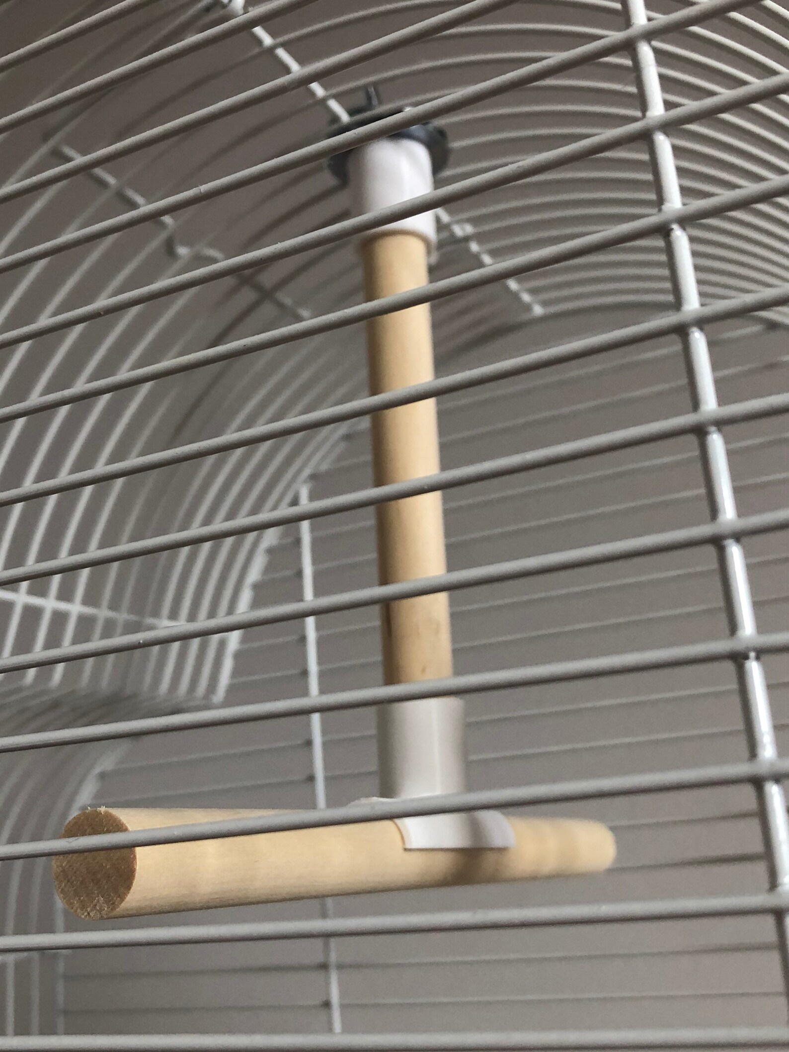 Bird Perch T Shape Stand. Wooden Bird Cage Perch Attachment | Etsy