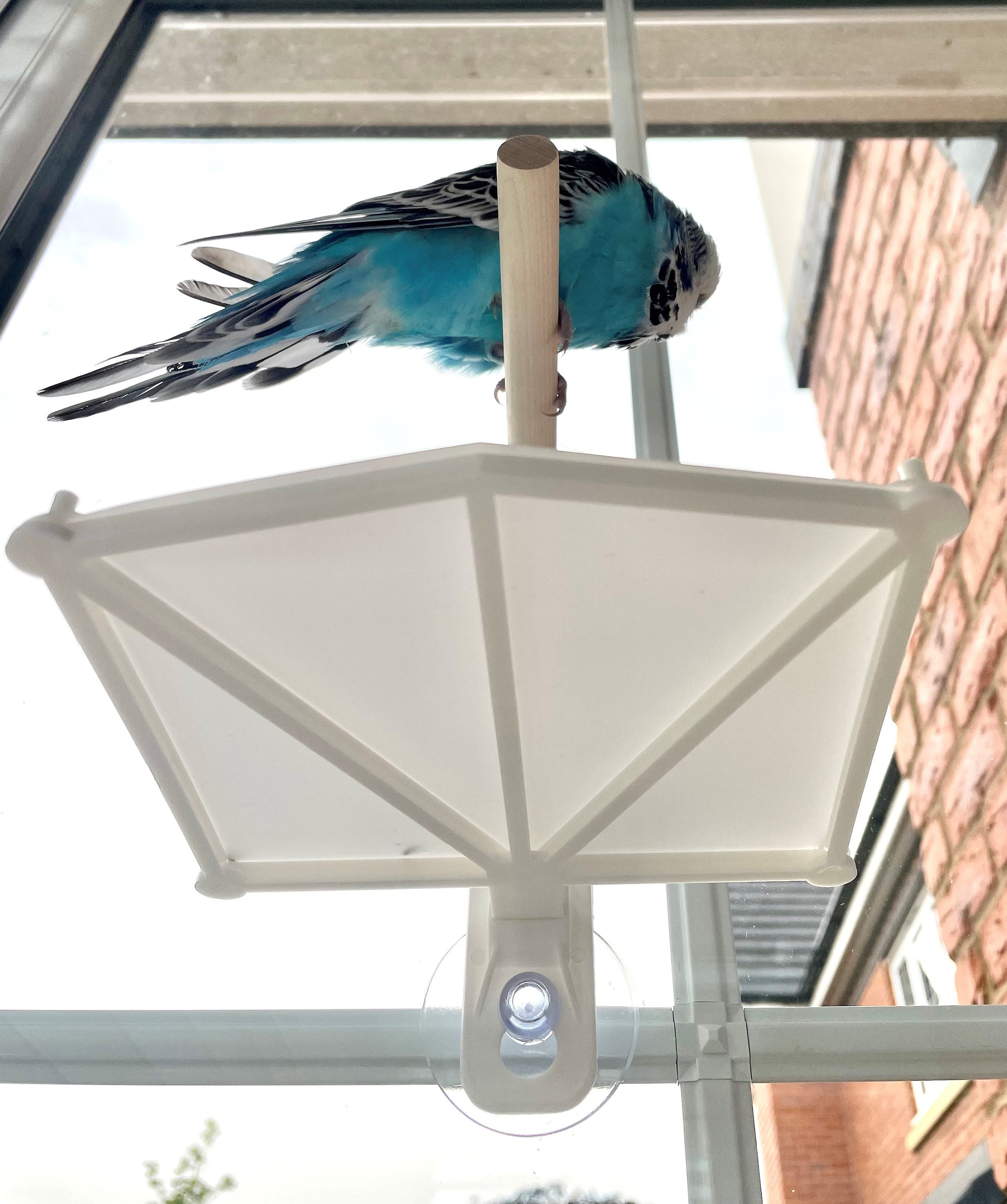 Bird Perch 2pc Bundle Pack. Includes Stick on Window Shower - Etsy UK