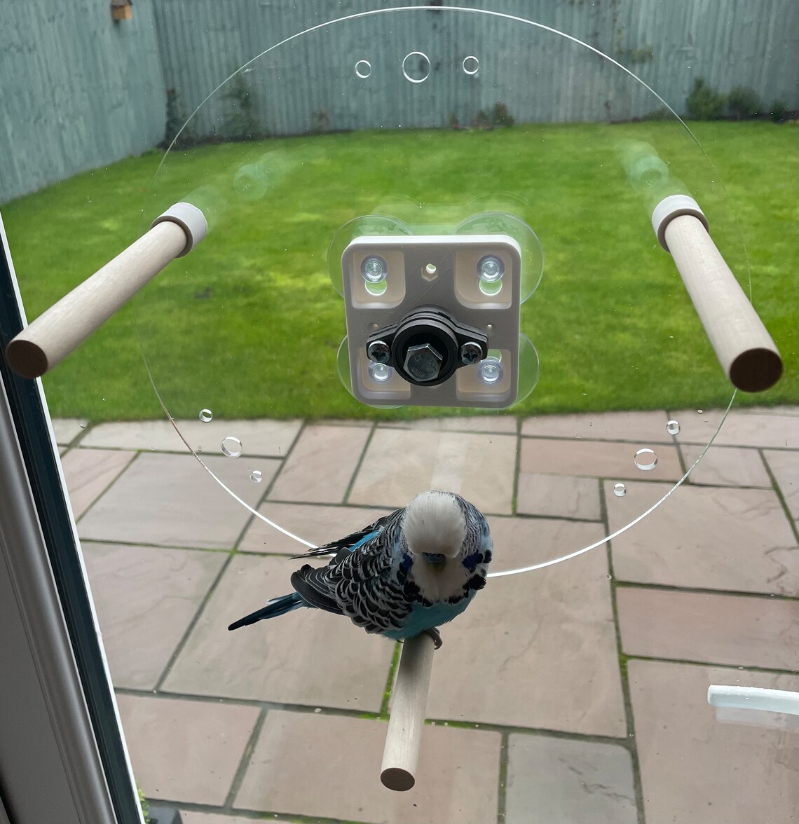 Bird Perch Wheel, Bird Perch Rotating, Spinning Wheel, Fits Onto Bird ...