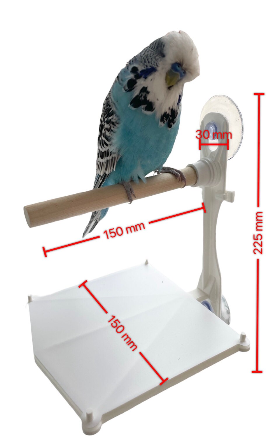 Stick on Portable Bird Perch Which Has Droppings Tray Perfect - Etsy UK