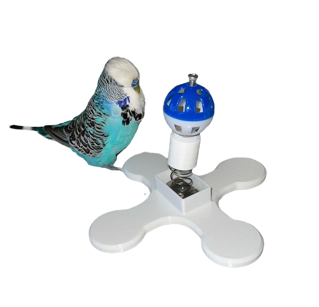 Bird Toy Spring Ball Toy for Pet Birds + Cats + Other Small Animals ...