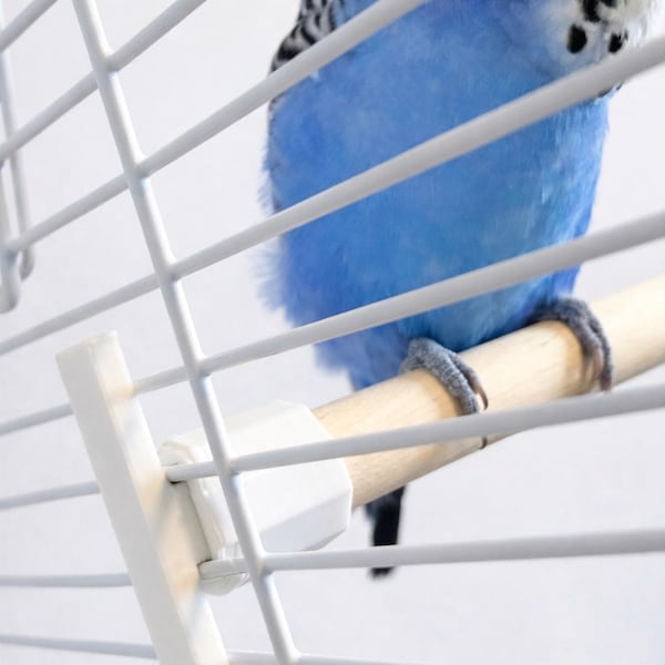 Perches for Bird Cage - Etsy UK