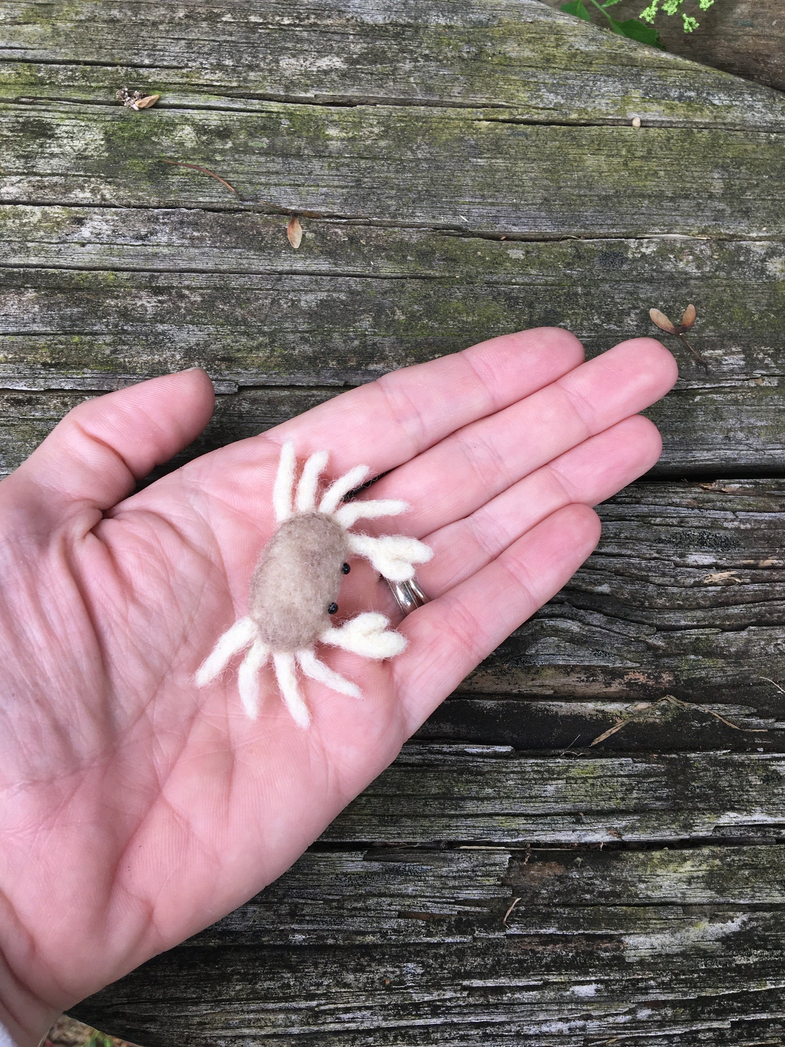 Needle Felted Sand Crab - Etsy