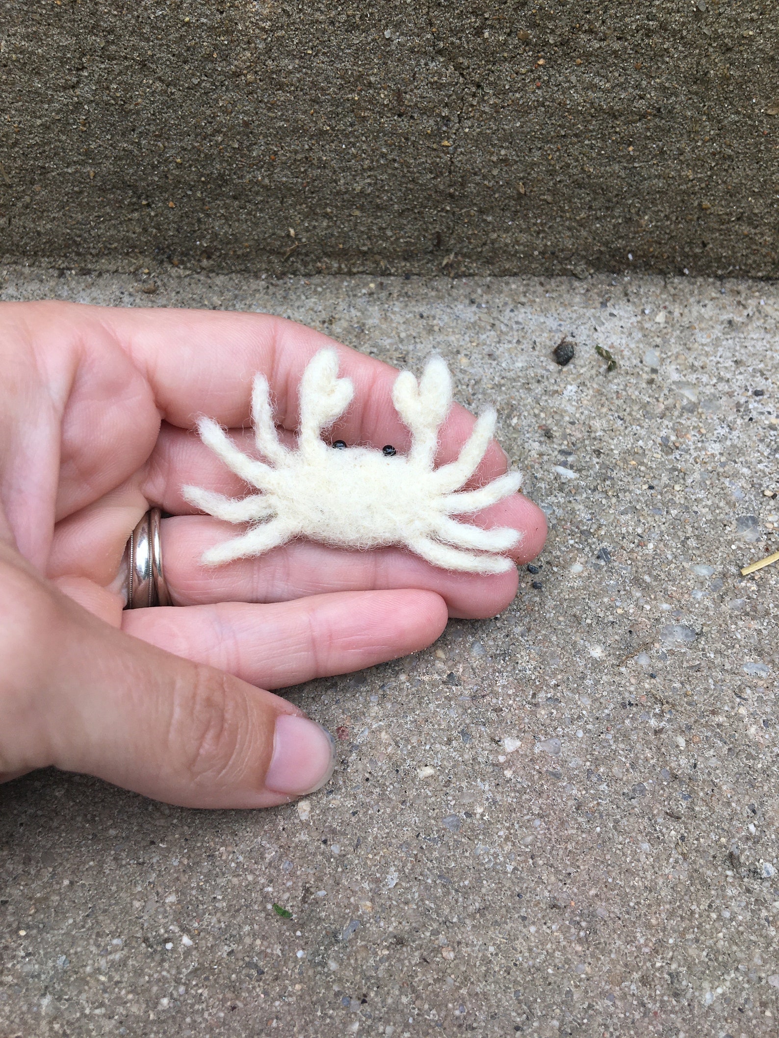 Needle Felted Sand Crab - Etsy