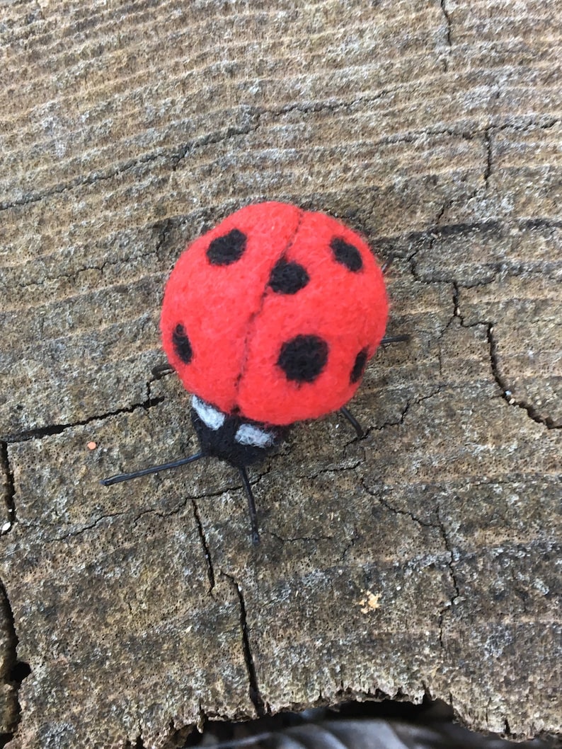 Needle Felted Lady Bug - Etsy