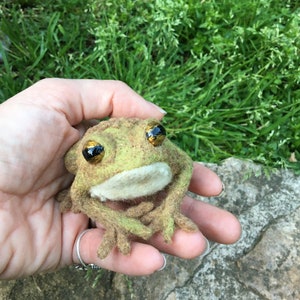 Needle Felted Toad Handmade Wool Toad Sculpture - Etsy