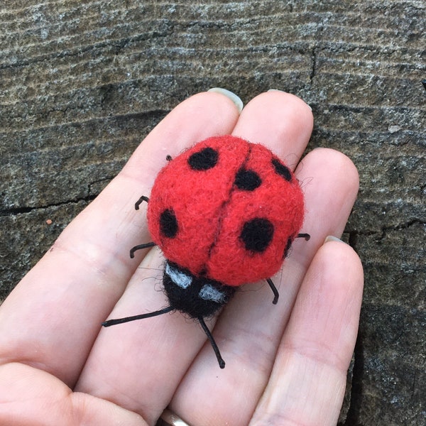 Lady Bug Decor - Etsy
