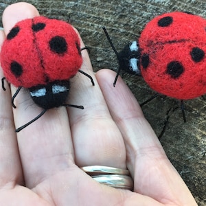 Needle Felted Lady Bug - Etsy