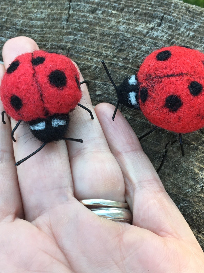 Needle Felted Lady Bug - Etsy