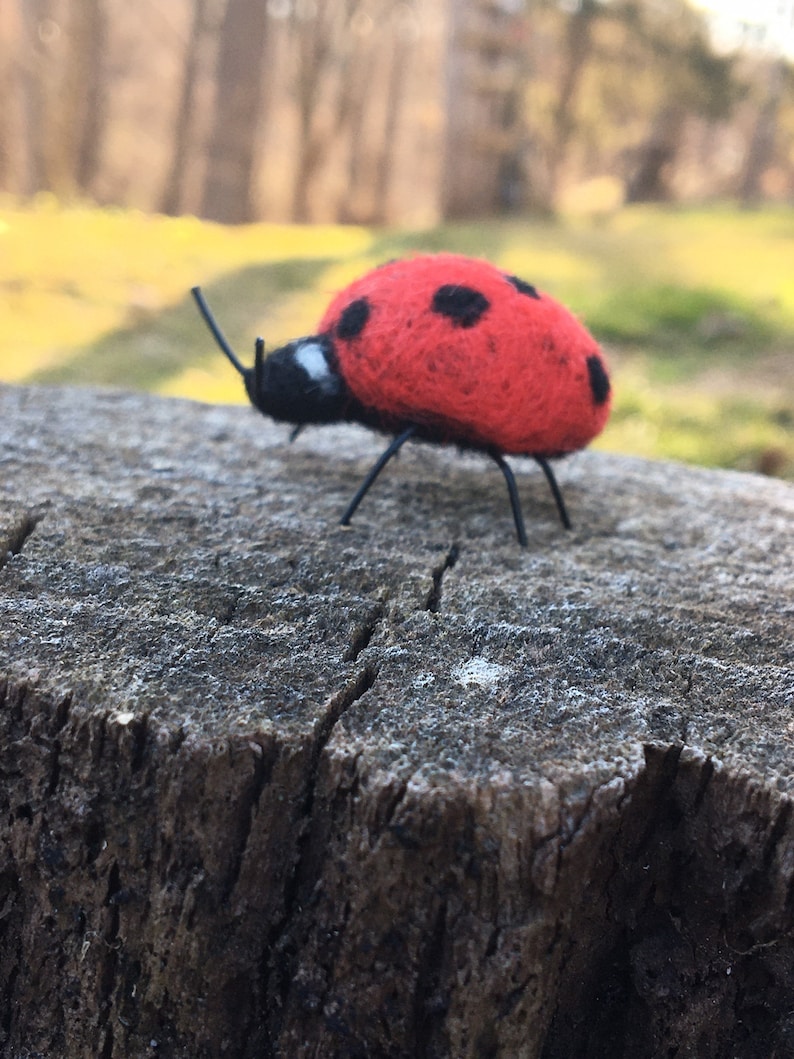 Needle Felted Lady Bug - Etsy