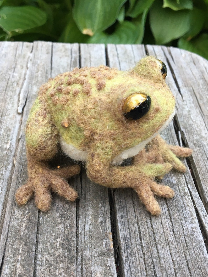 Needle Felted Toad Handmade Wool Toad Sculpture - Etsy