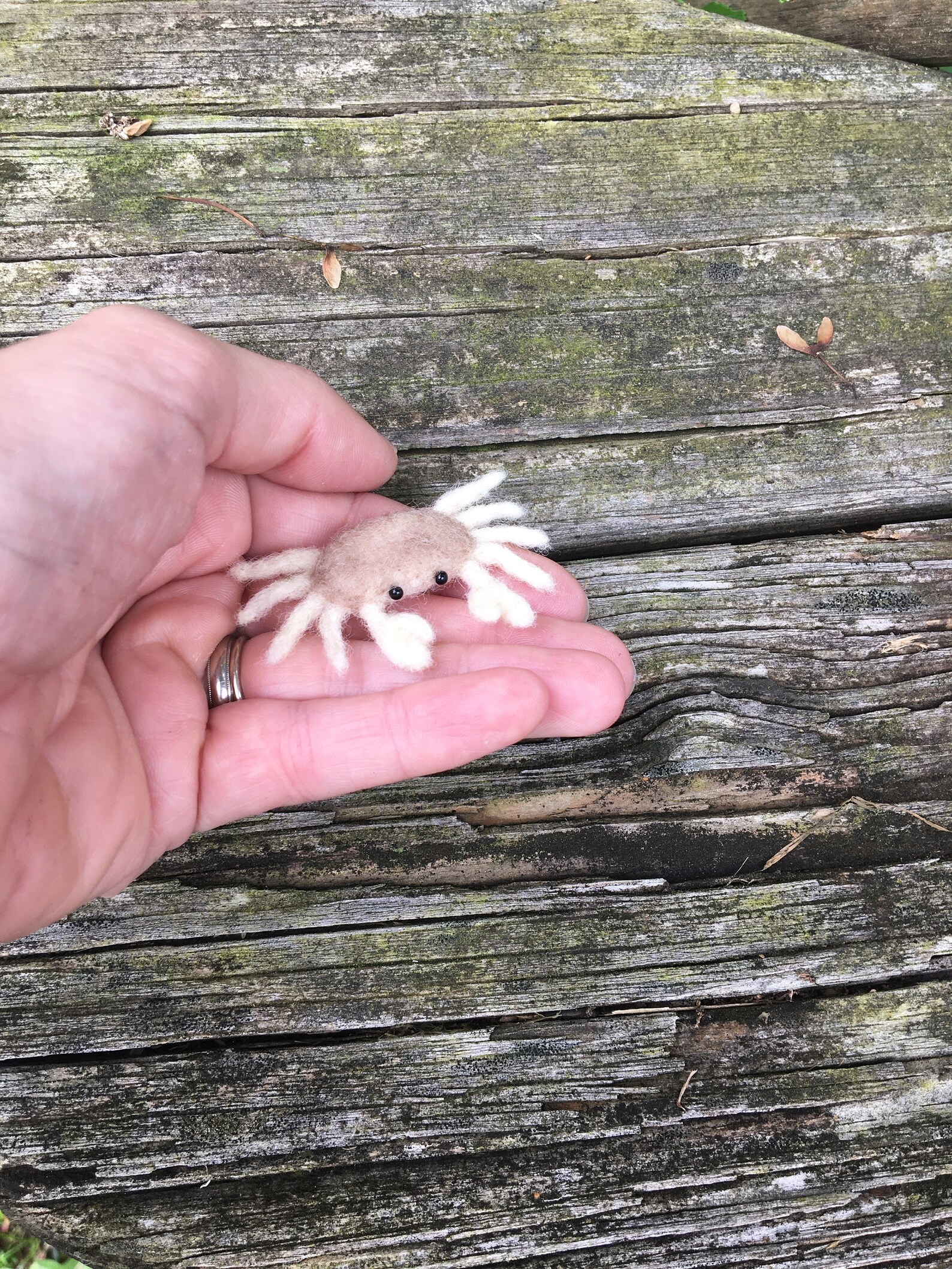 Needle Felted Sand Crab - Etsy