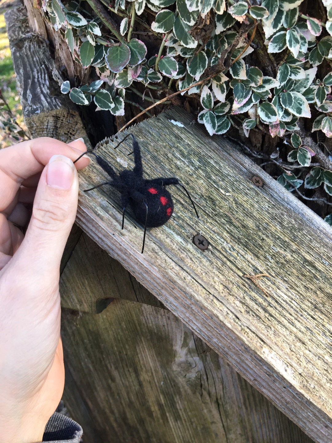 Black Widow Spider Needle Felted Black Widow Spider Wool and - Etsy