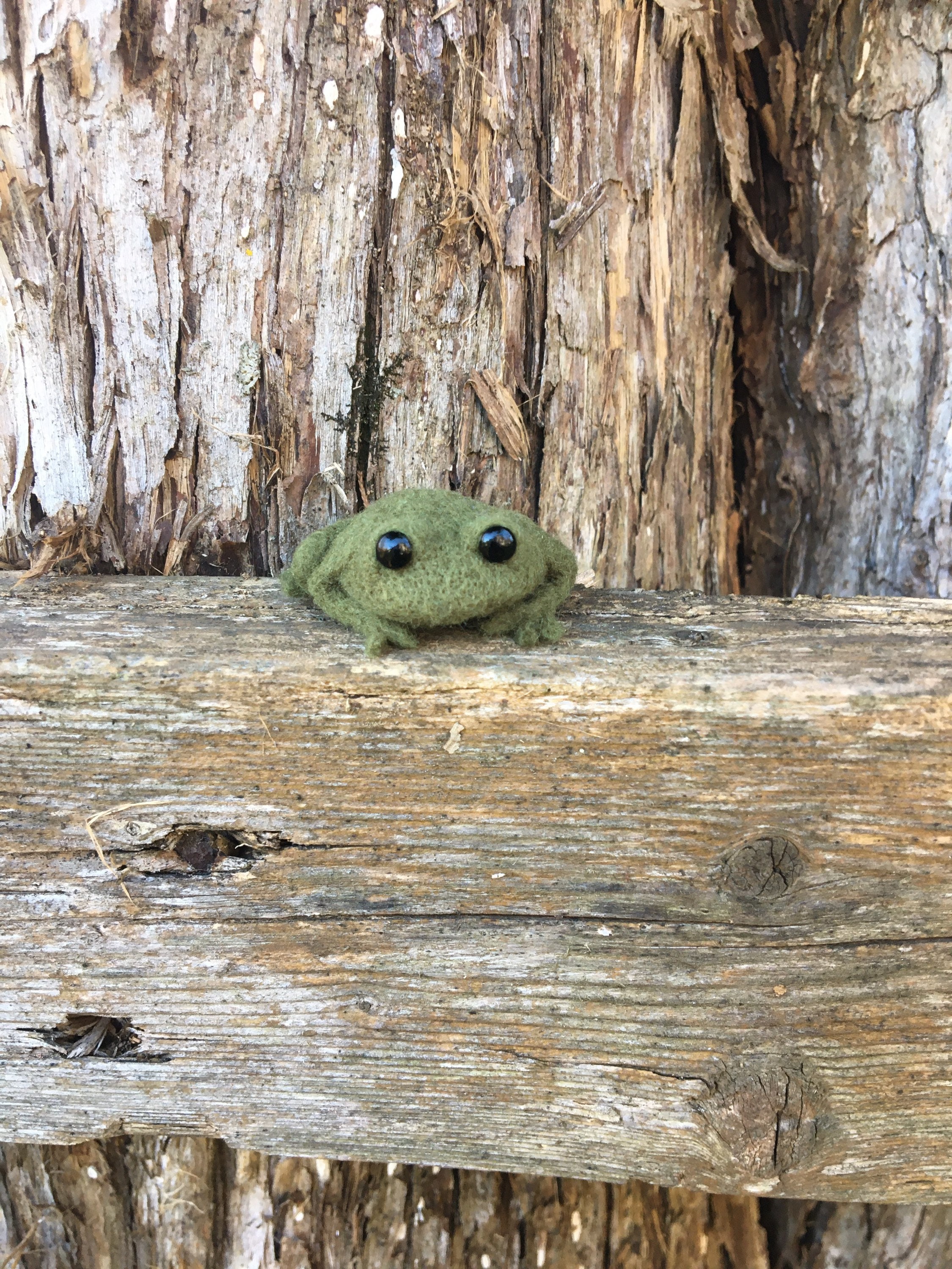 Needle Felted Green Frog Wool Sculpture Realistic Frog Art - Etsy