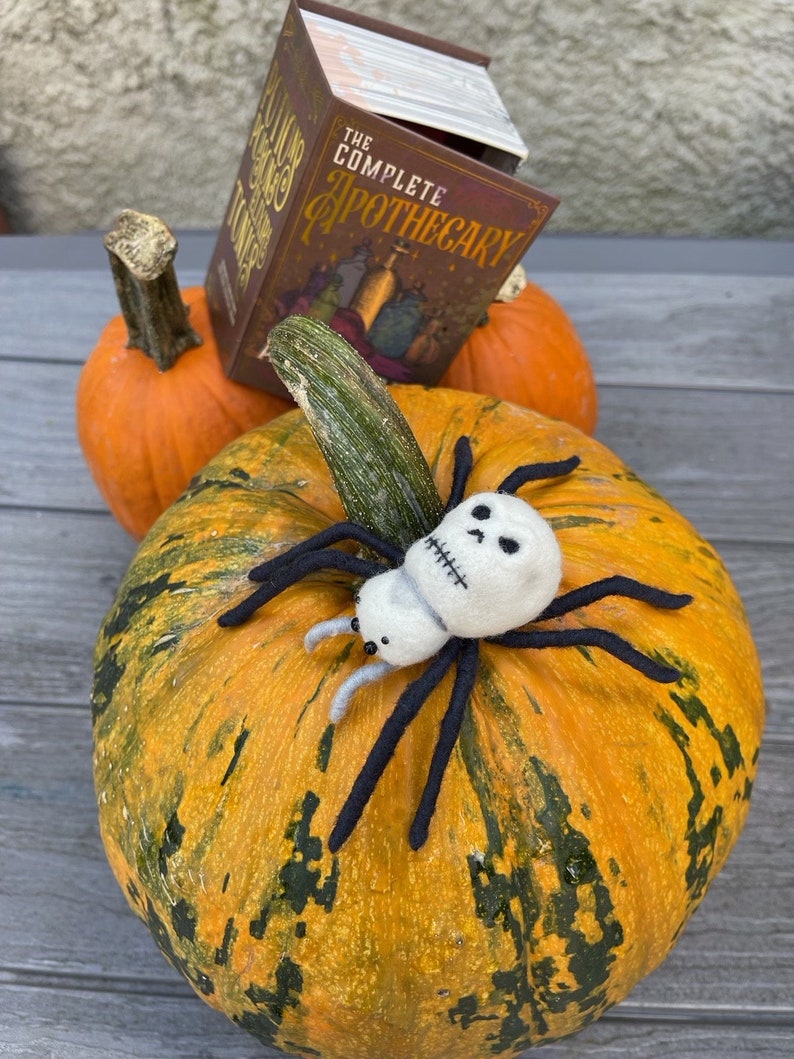 Needle Felted Tarantula With Skull Halloween Spider Gift - Etsy