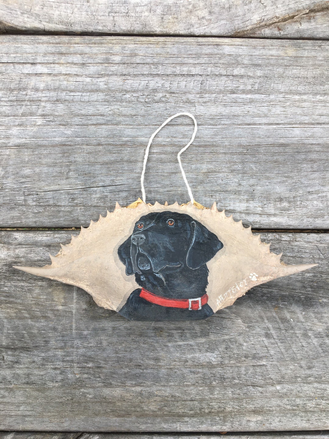 Hand Painted Crab Shell Black Labrador Retriever Painted on a Crab ...